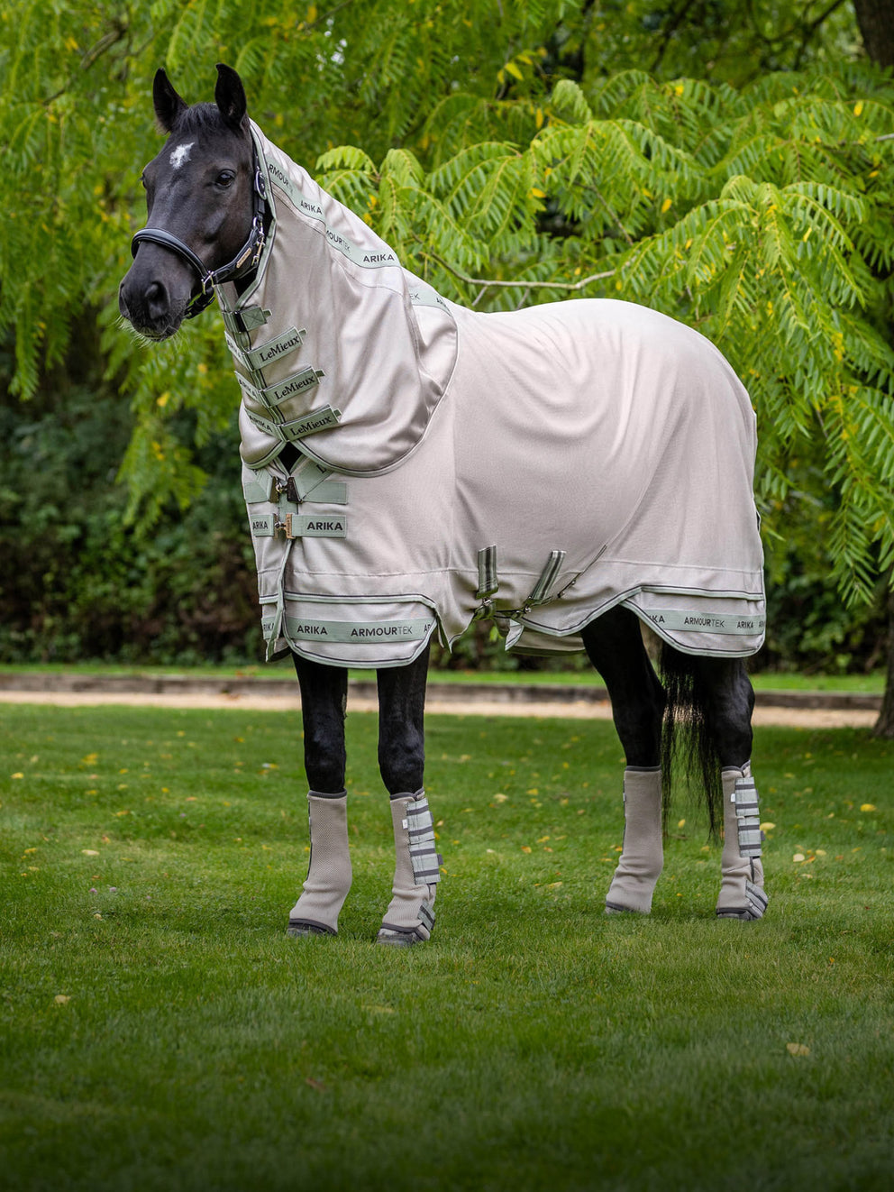 Horze - Your online shop for everything you need in equestrian sports ...